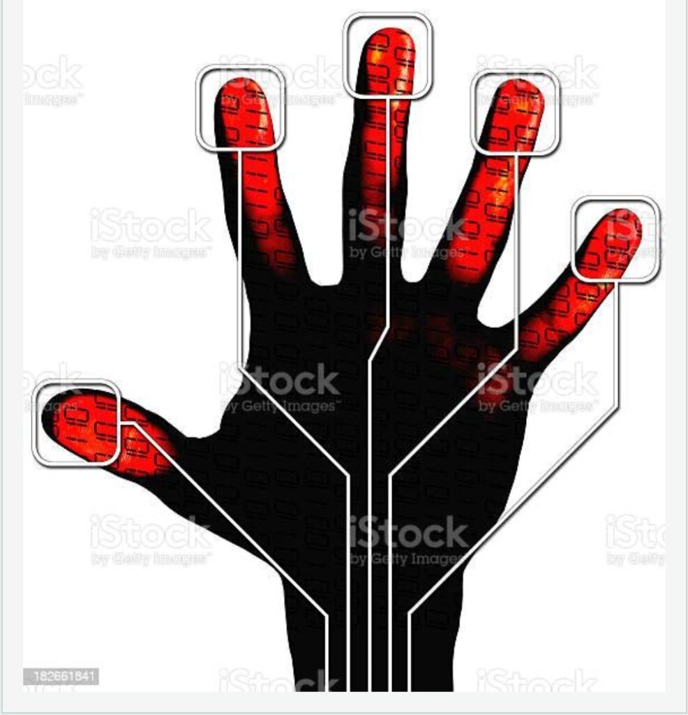 PALM VEIN TECHNOLOGY - Datacyper